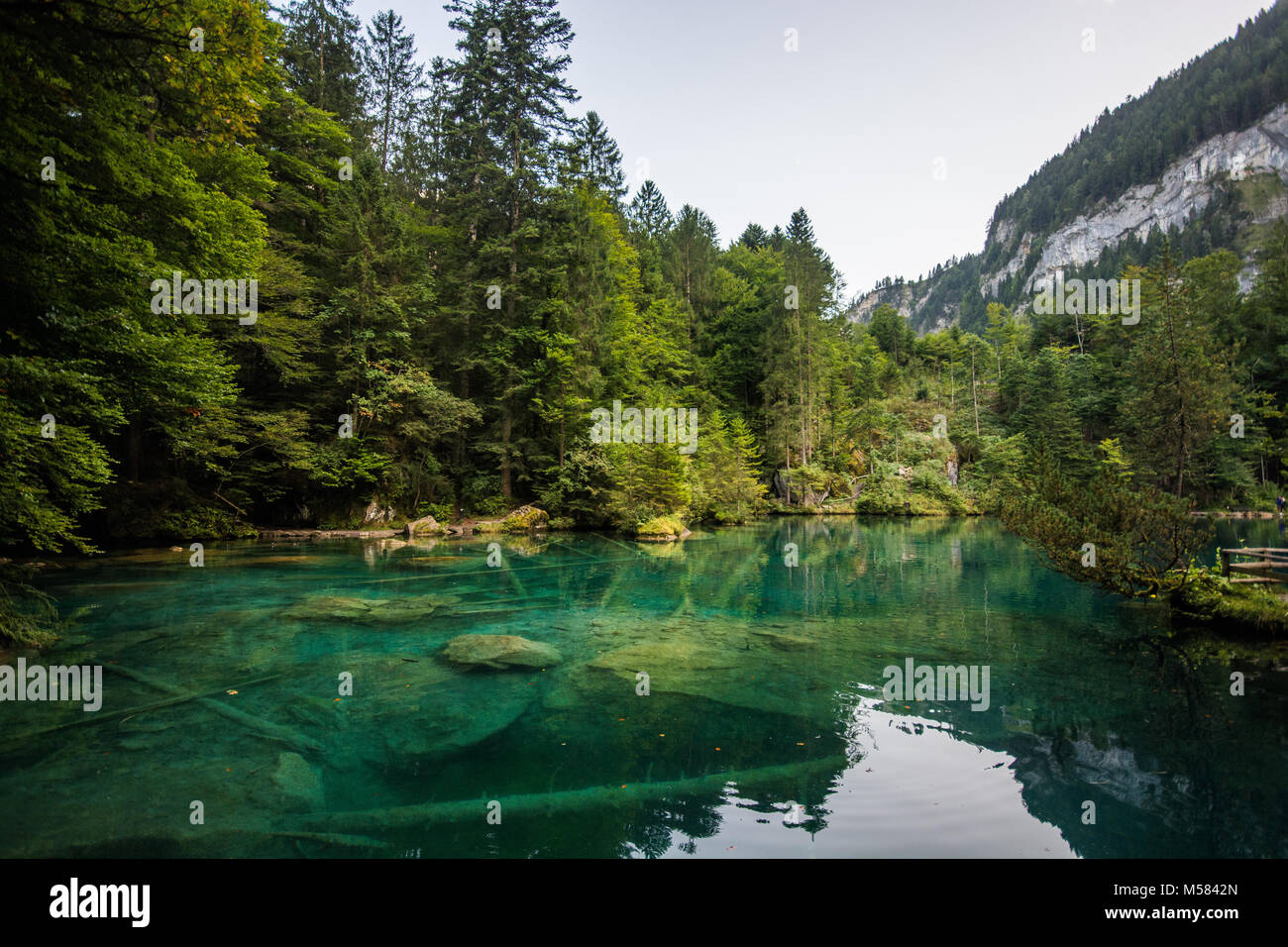 Lake Blausee in the beautiful country of Switzerland in the Swiss alps ...