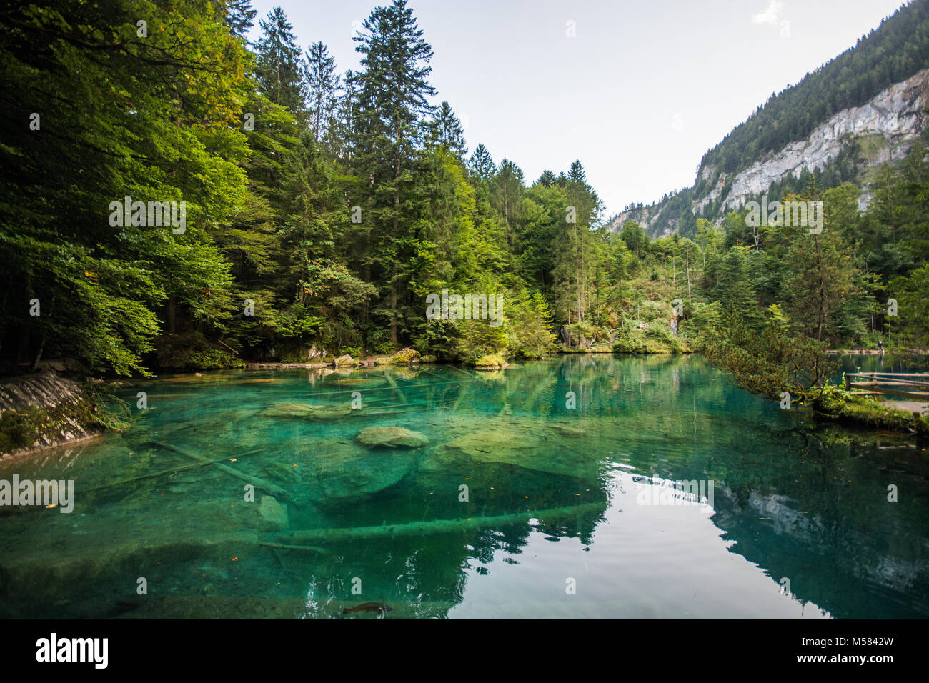 Lake Blausee in the beautiful country of Switzerland in the Swiss alps ...