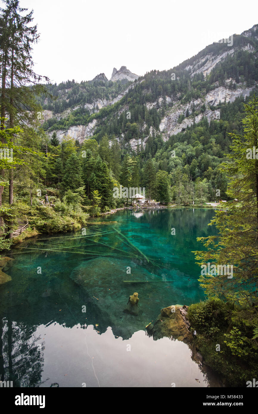 Lake Blausee in the beautiful country of Switzerland in the Swiss alps ...