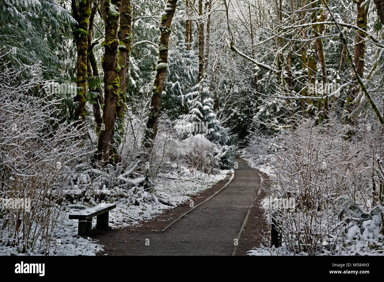 WA13507-00...WASHINGTON - Winter on the Tradition Plateau in the ...