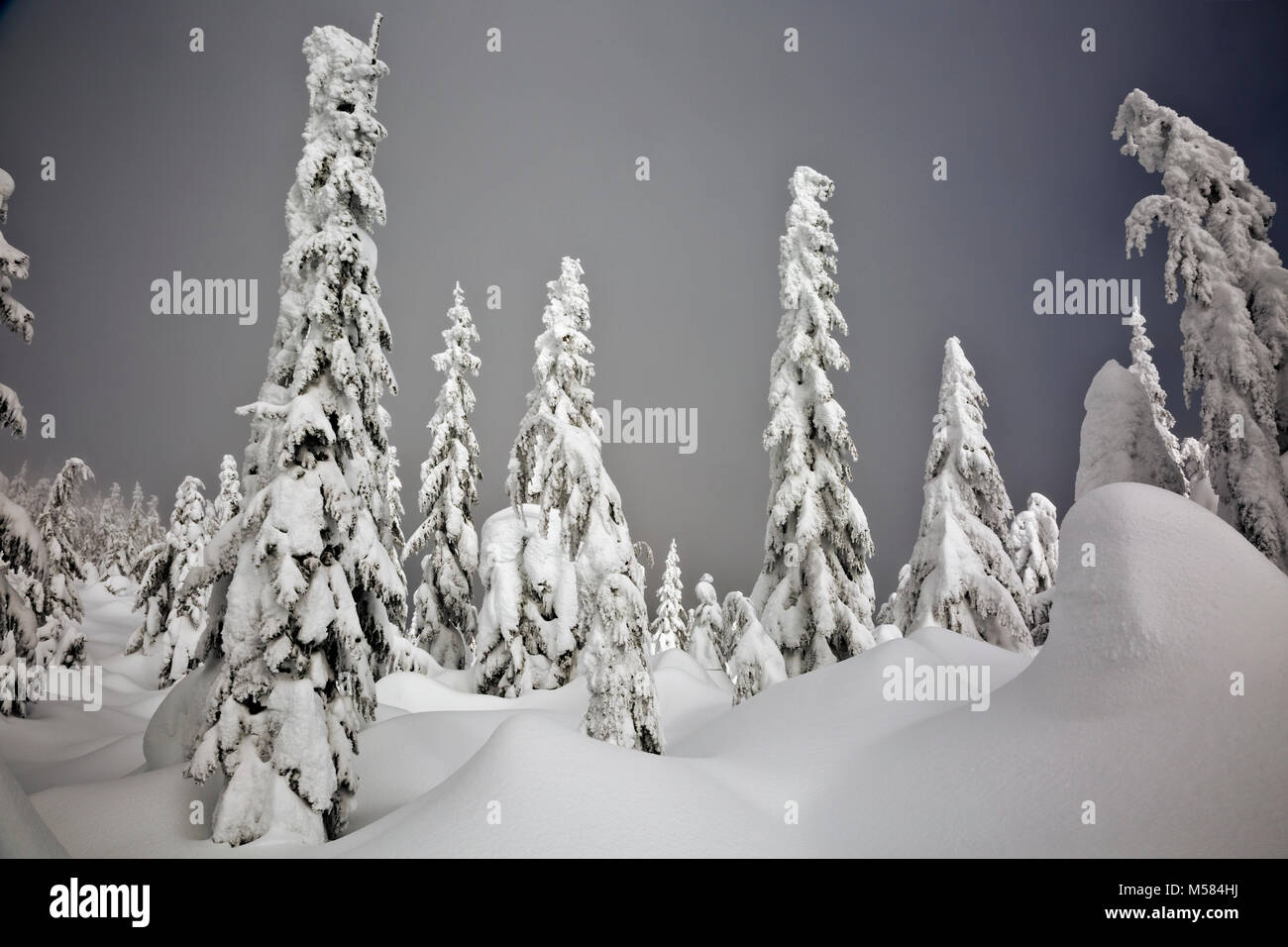 Wenatchee river winter hi-res stock photography and images - Alamy