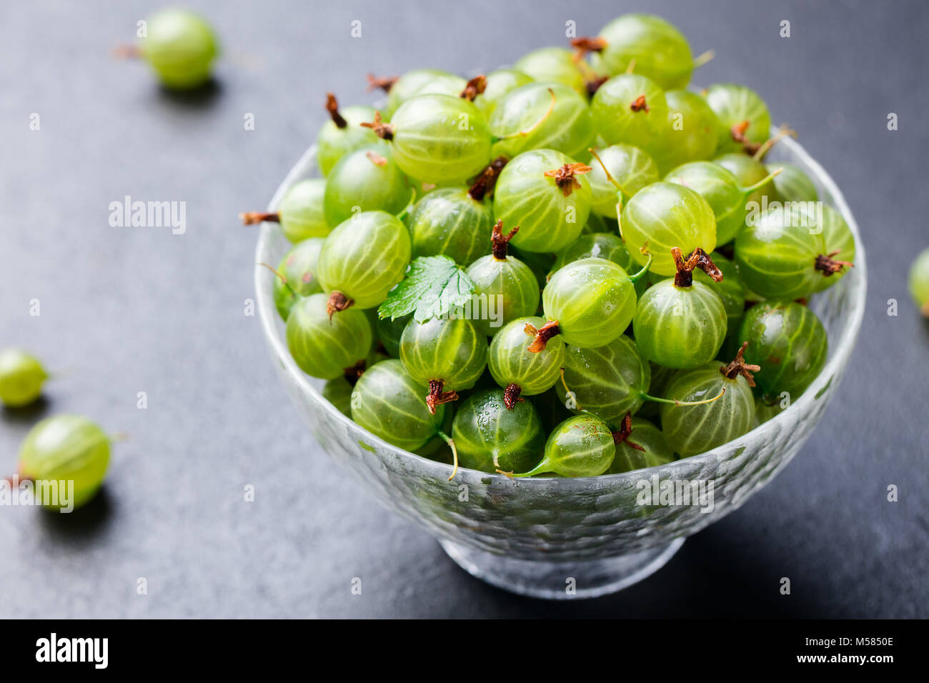 American gooseberries hi-res stock photography and images - Alamy