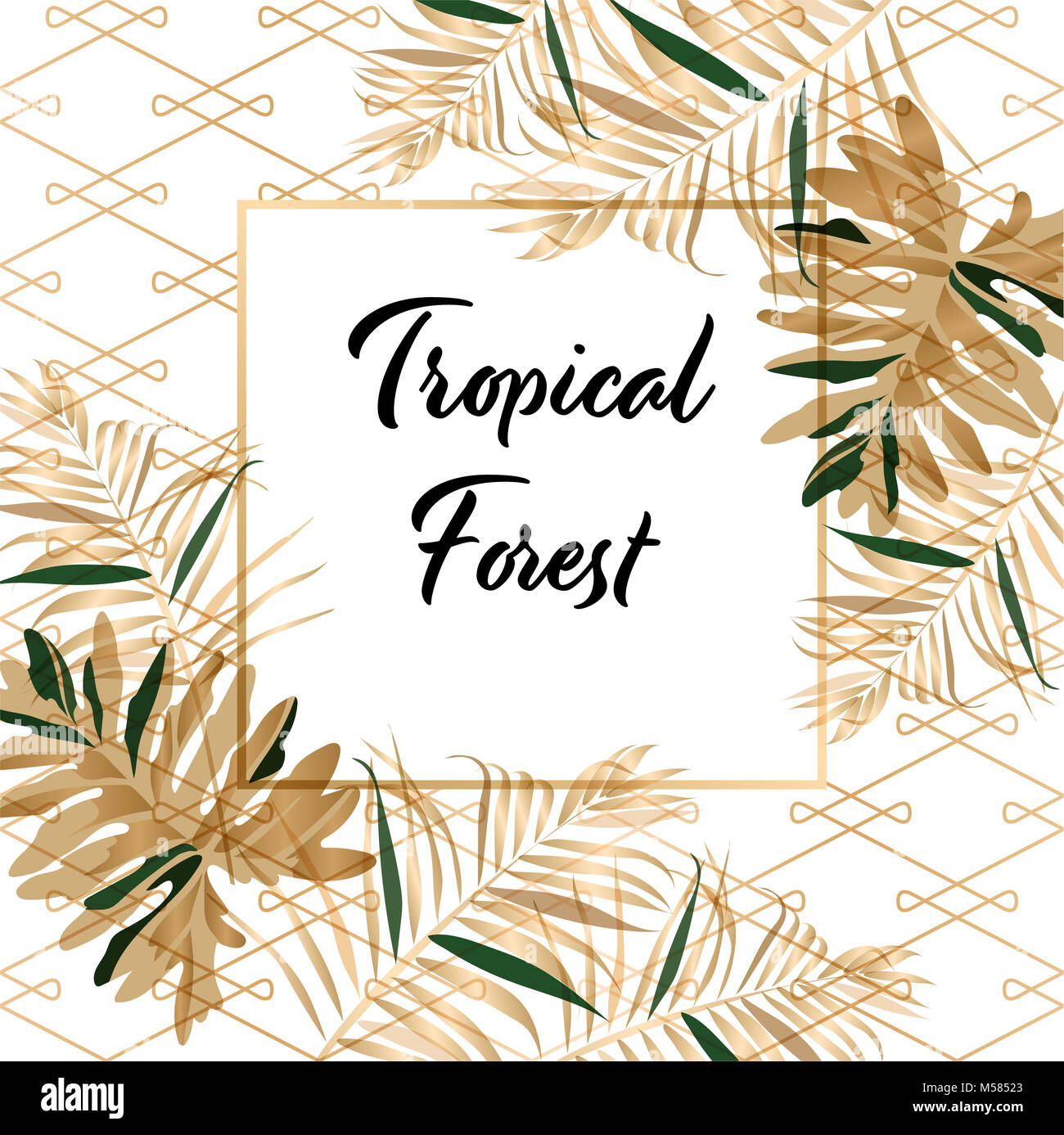 Gold frame lines hi-res stock photography and images - Alamy