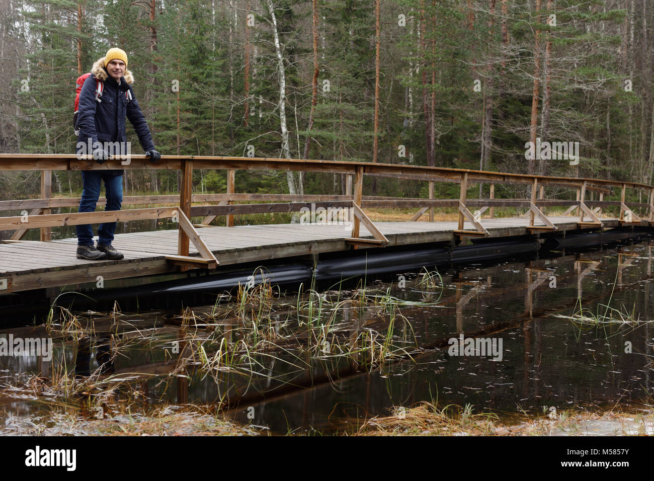 Hiker with backpack in Nuuksio national park, Finland Stock Photo - Alamy