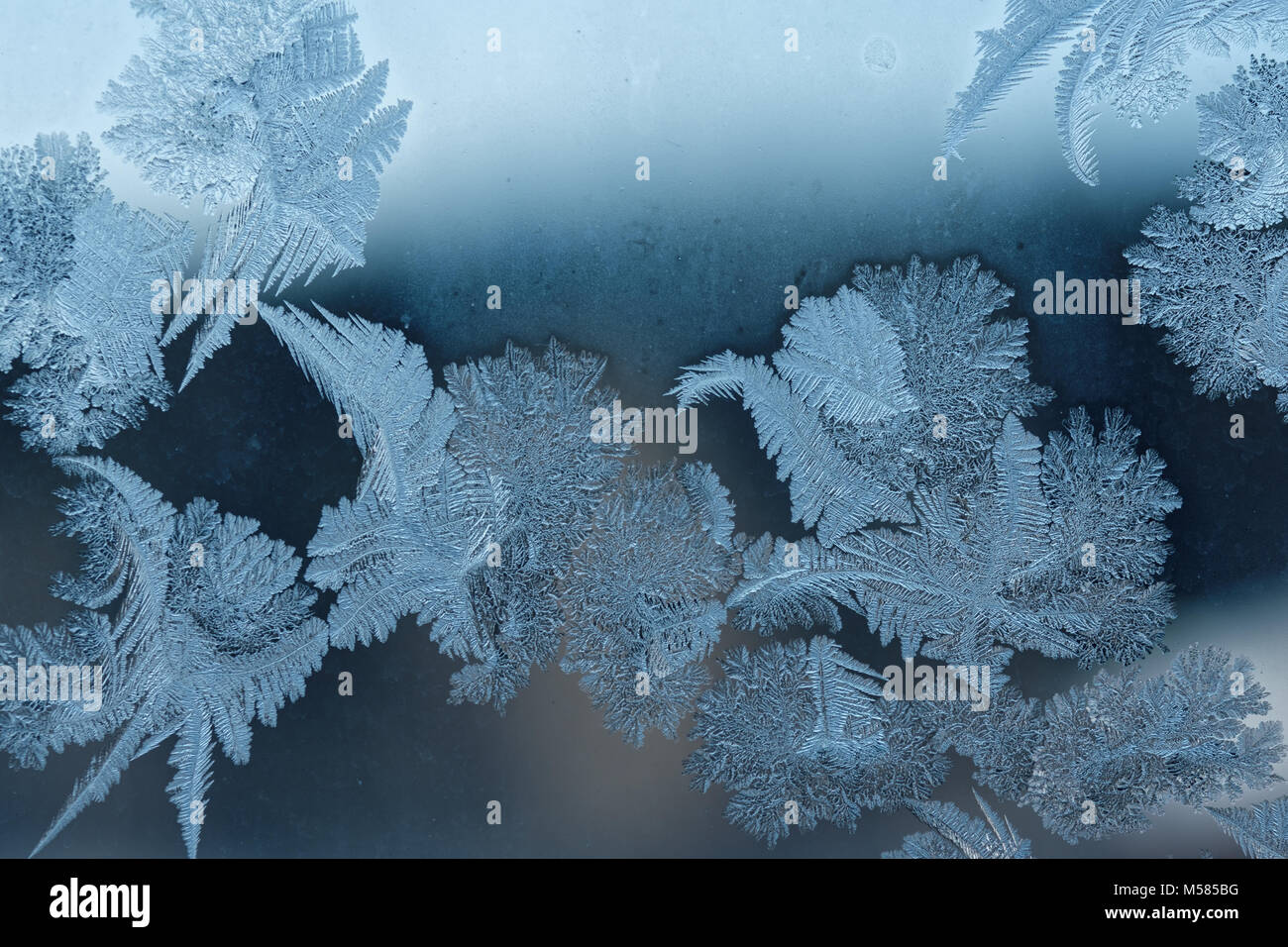 Frost pattern as Christmas background Stock Photo - Alamy