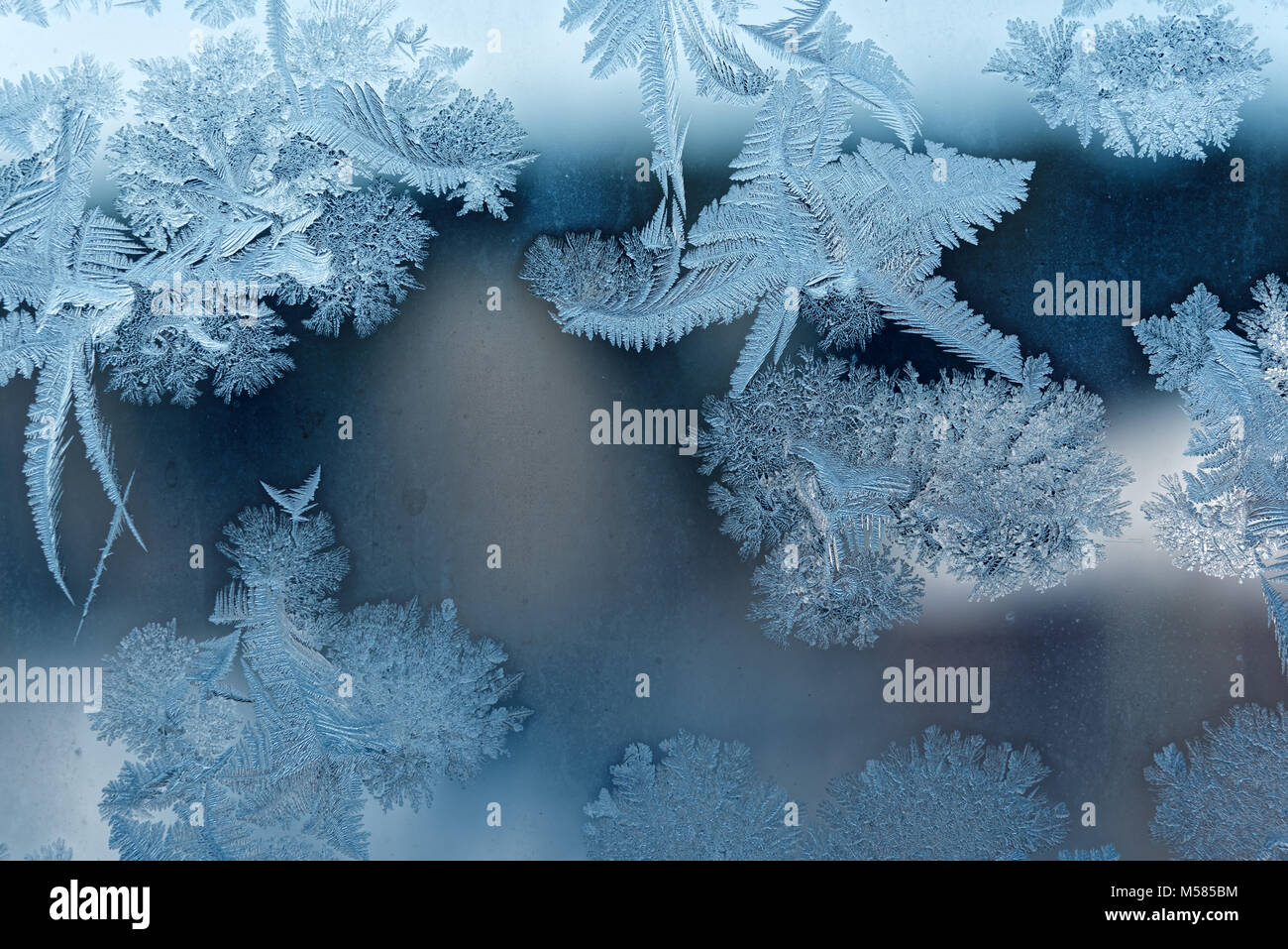 Frost pattern as Christmas background Stock Photo - Alamy