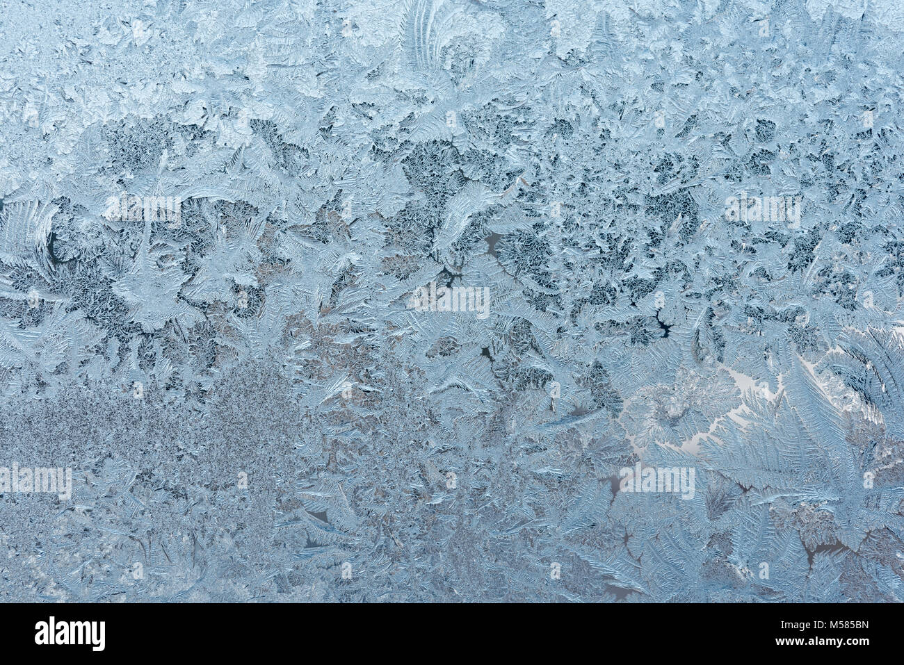 Frost pattern as Christmas background Stock Photo - Alamy
