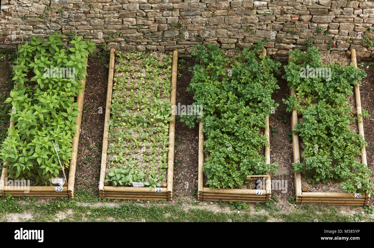 Italian horticulture hi-res stock photography and images - Alamy