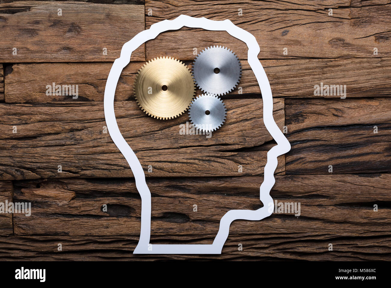 Directly above shot of paper businessman's head outline with metallic ...