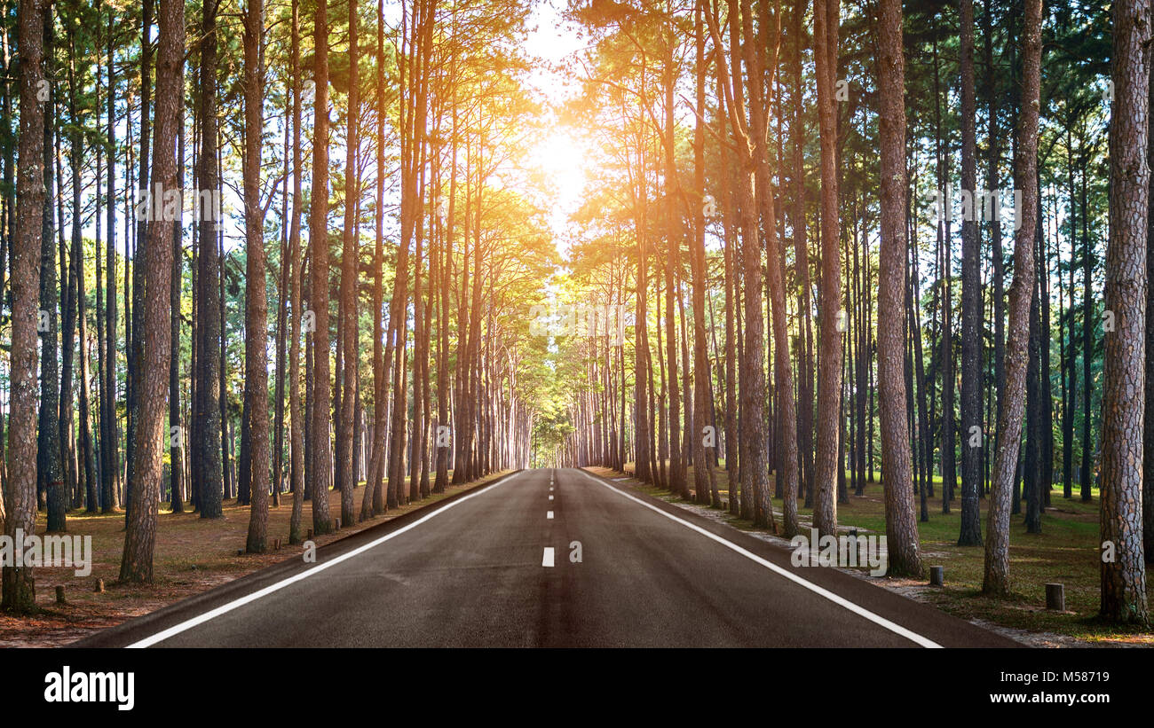 Long straight way through hi-res stock photography and images - Alamy