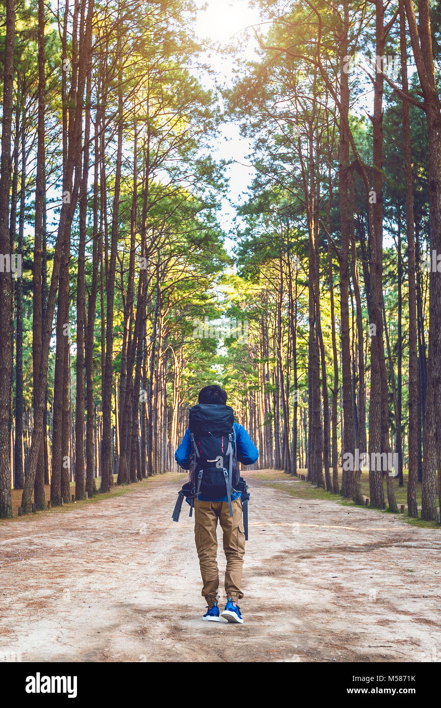 Back view walking man backpack hi-res stock photography and images - Alamy