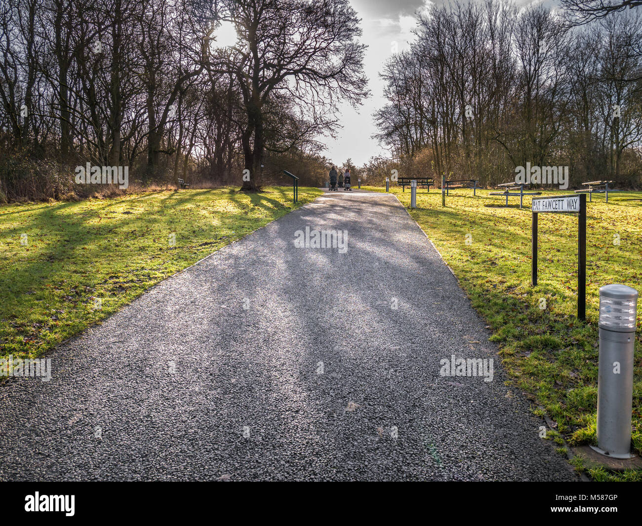 Pat Fawcett Way path through the Hazel woods next to the boating lake ...