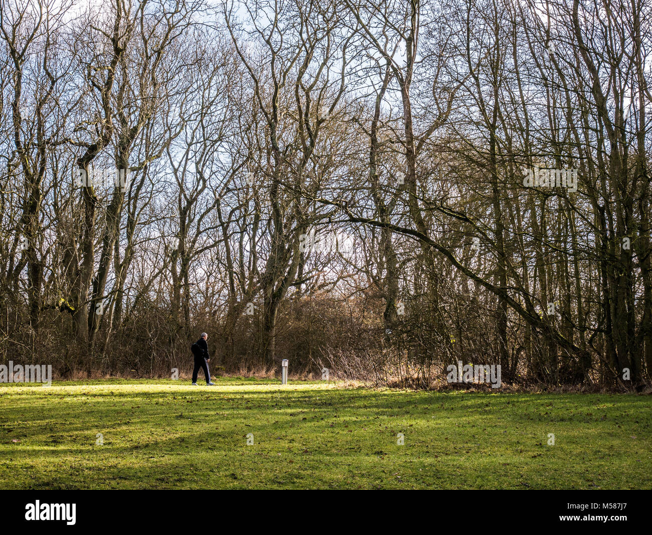 Pat Fawcett Way path through the Hazel woods next to the boating lake ...