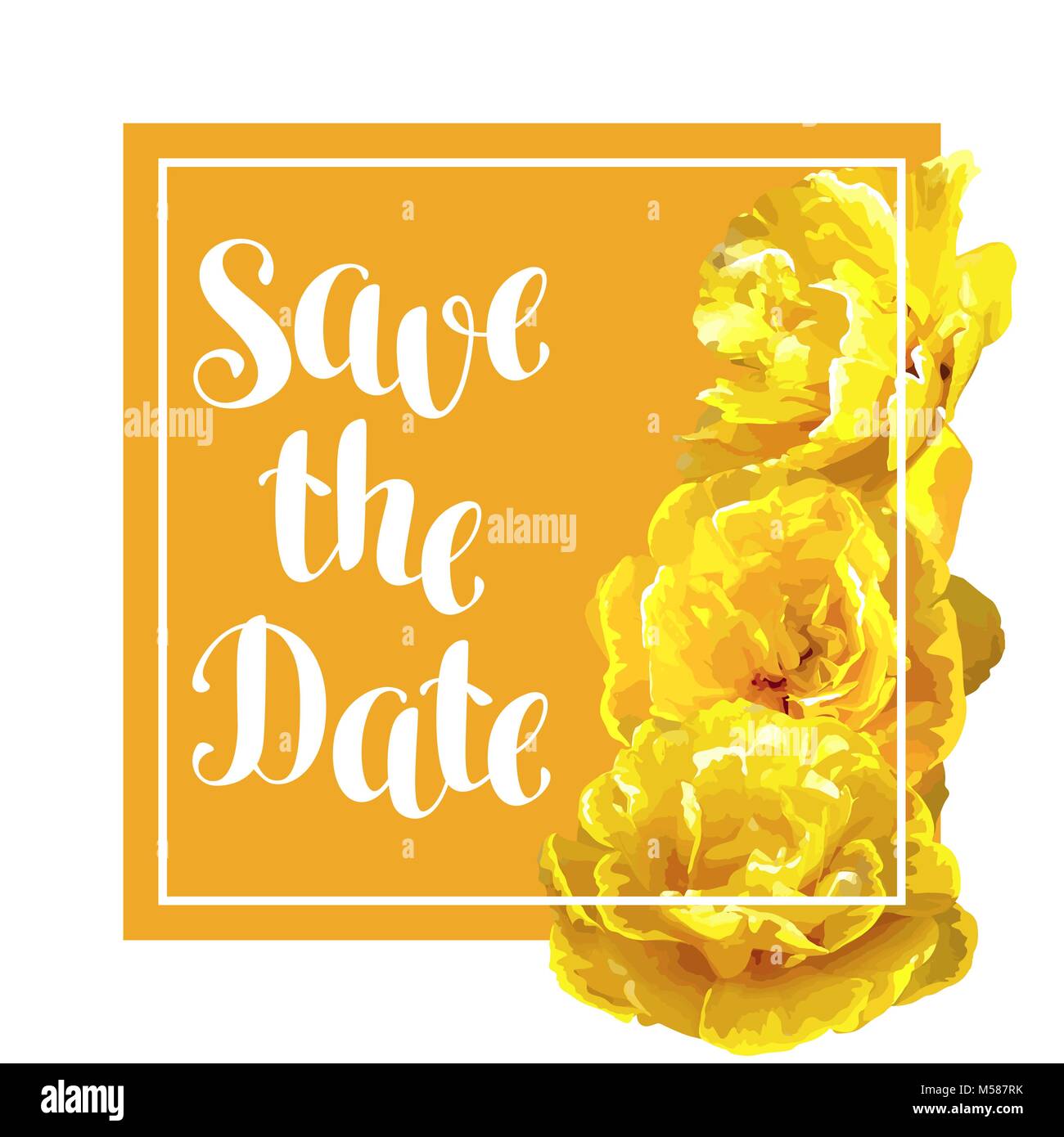 Vintage realistic tulip Stock Vector Images - Alamy