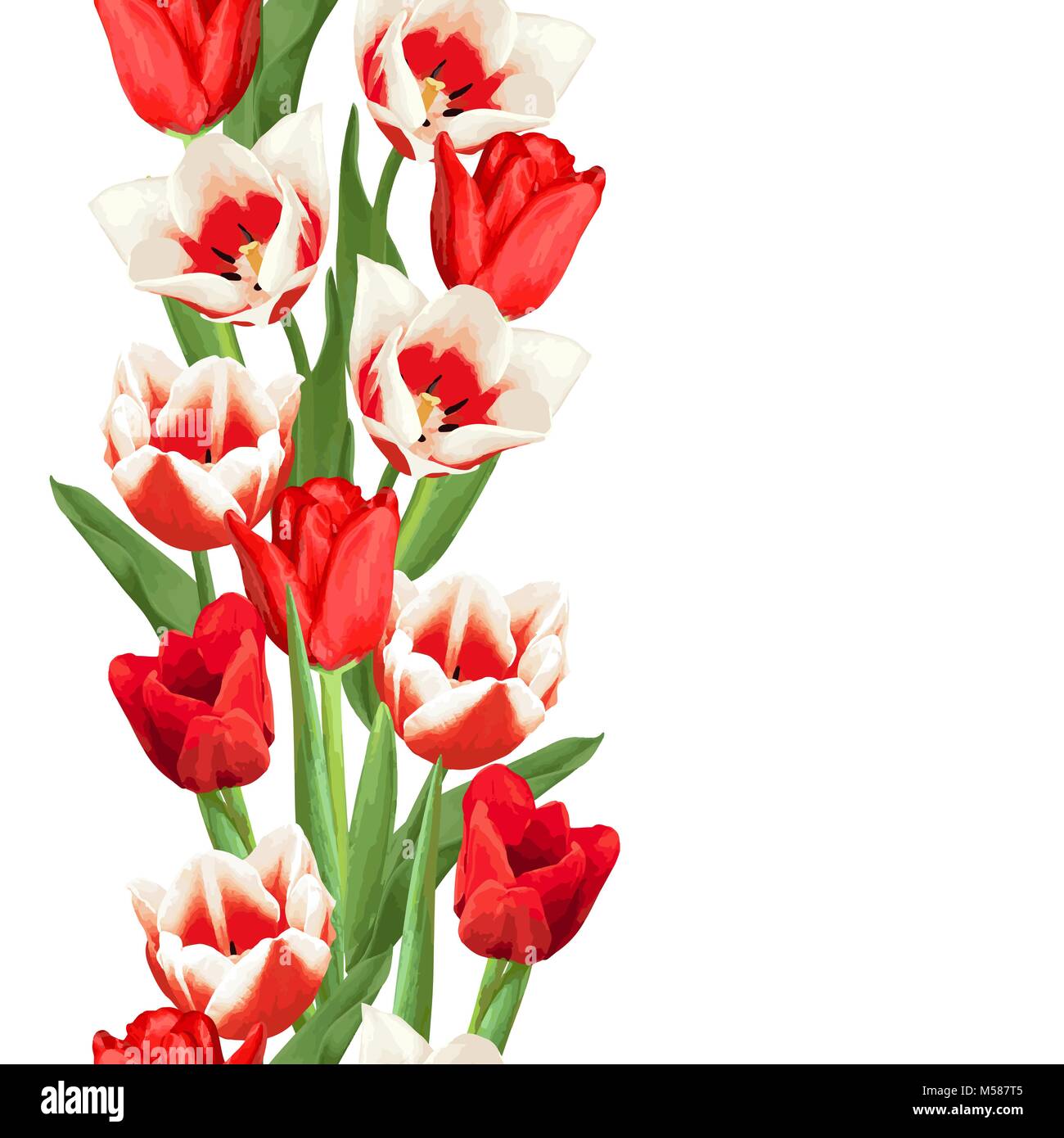 Flower border with tulips Stock Vector Images - Alamy