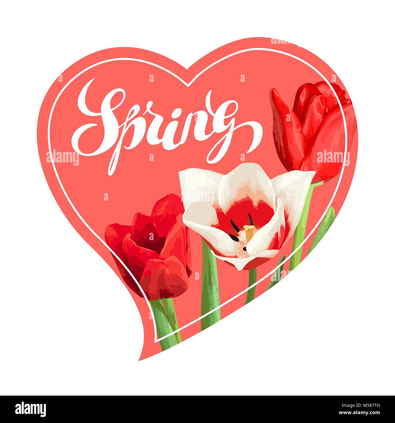 Spring background with red and white tulips. Beautiful realistic ...