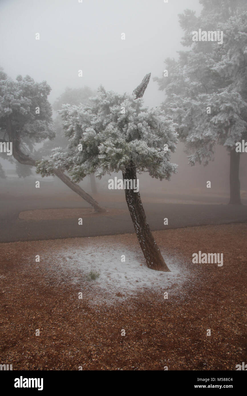 Fog Shots. A rare total inversion was seen today by visitors to Grand ...