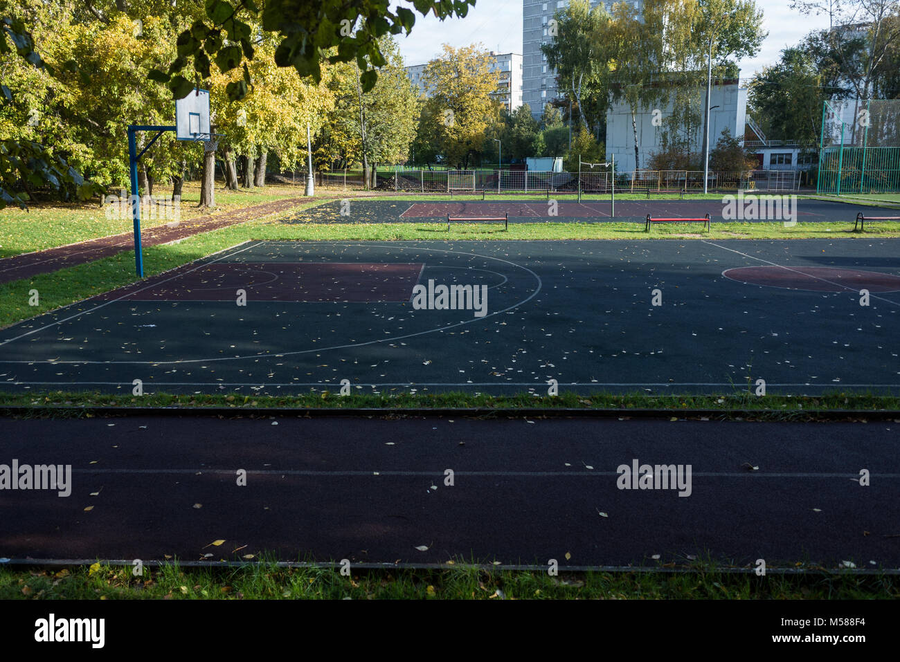 Yellow fallen leaves on a sports field Stock Photo - Alamy