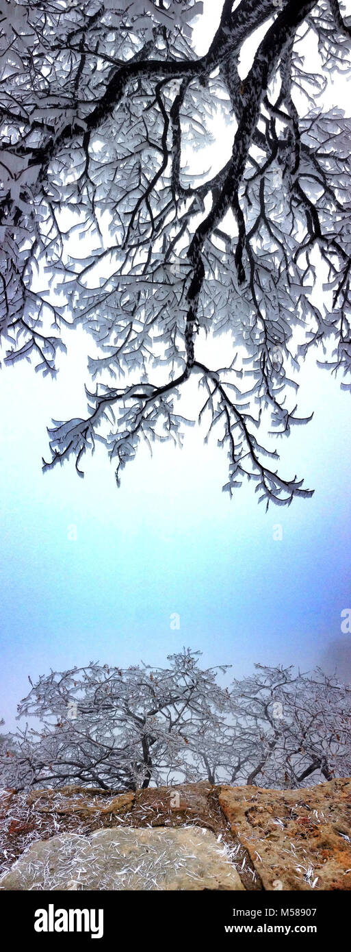 Frosty Panorama. A rare total inversion was seen today by visitors to ...