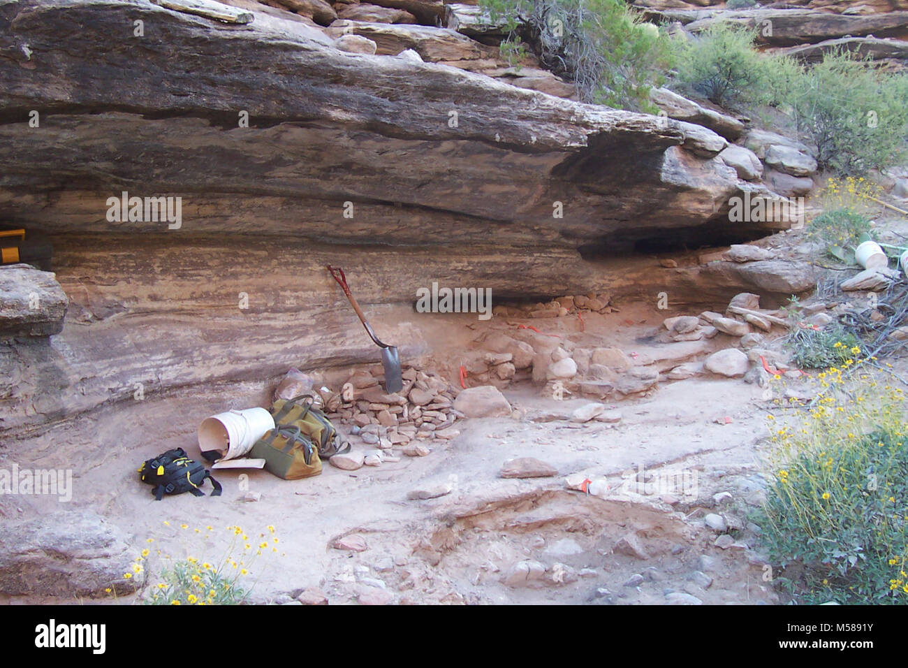 Grand Archaeology . Grand Canyon National Park: These rock ledges near ...