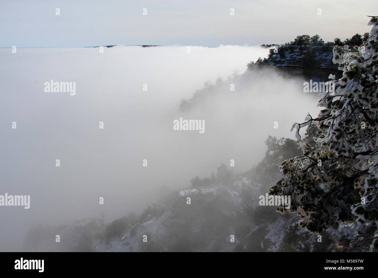 Grand Canyon Inversion Desert View Drive III. A rare total inversion ...