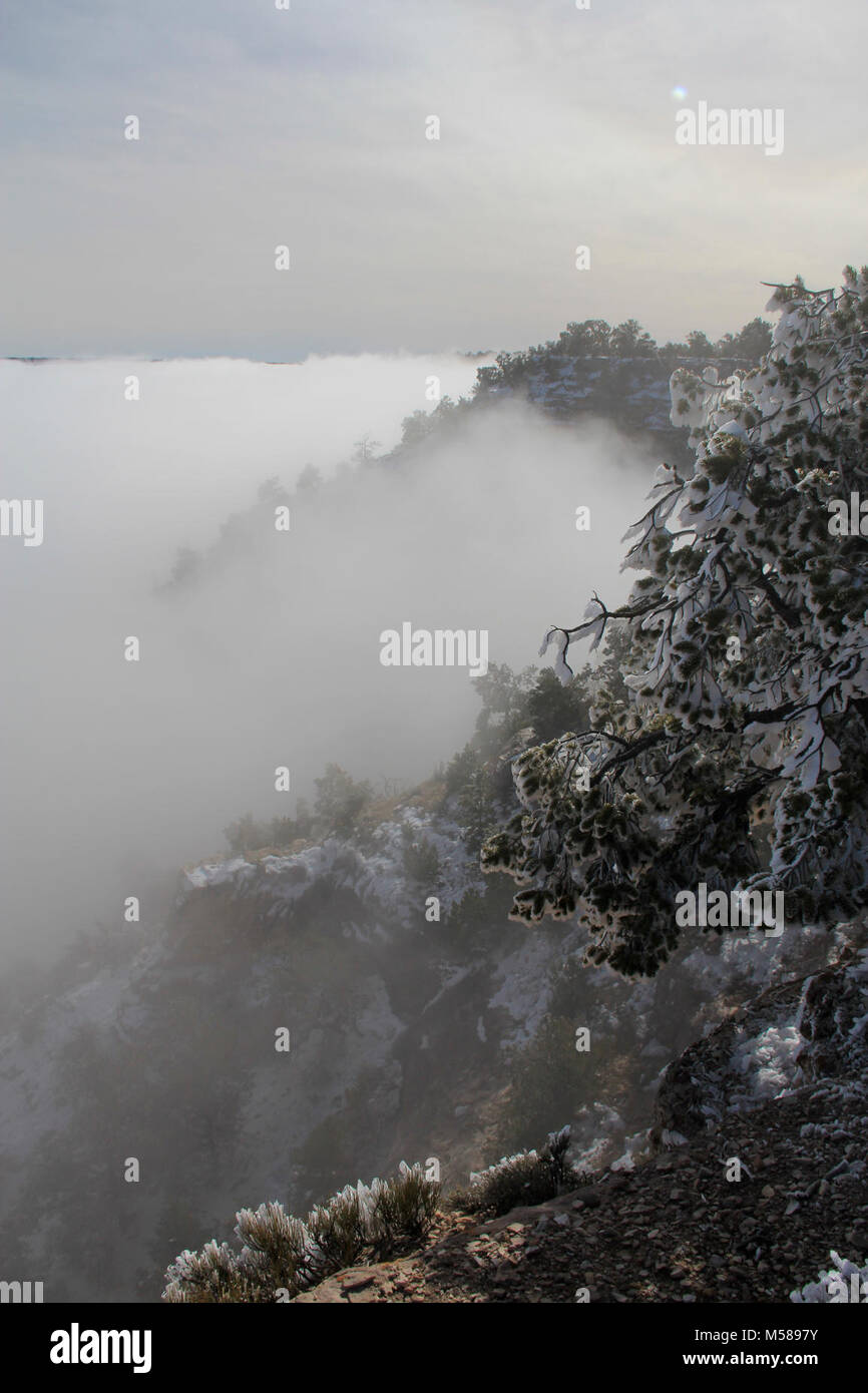 Grand Canyon Inversion Desert View Drive II. A rare total inversion was ...
