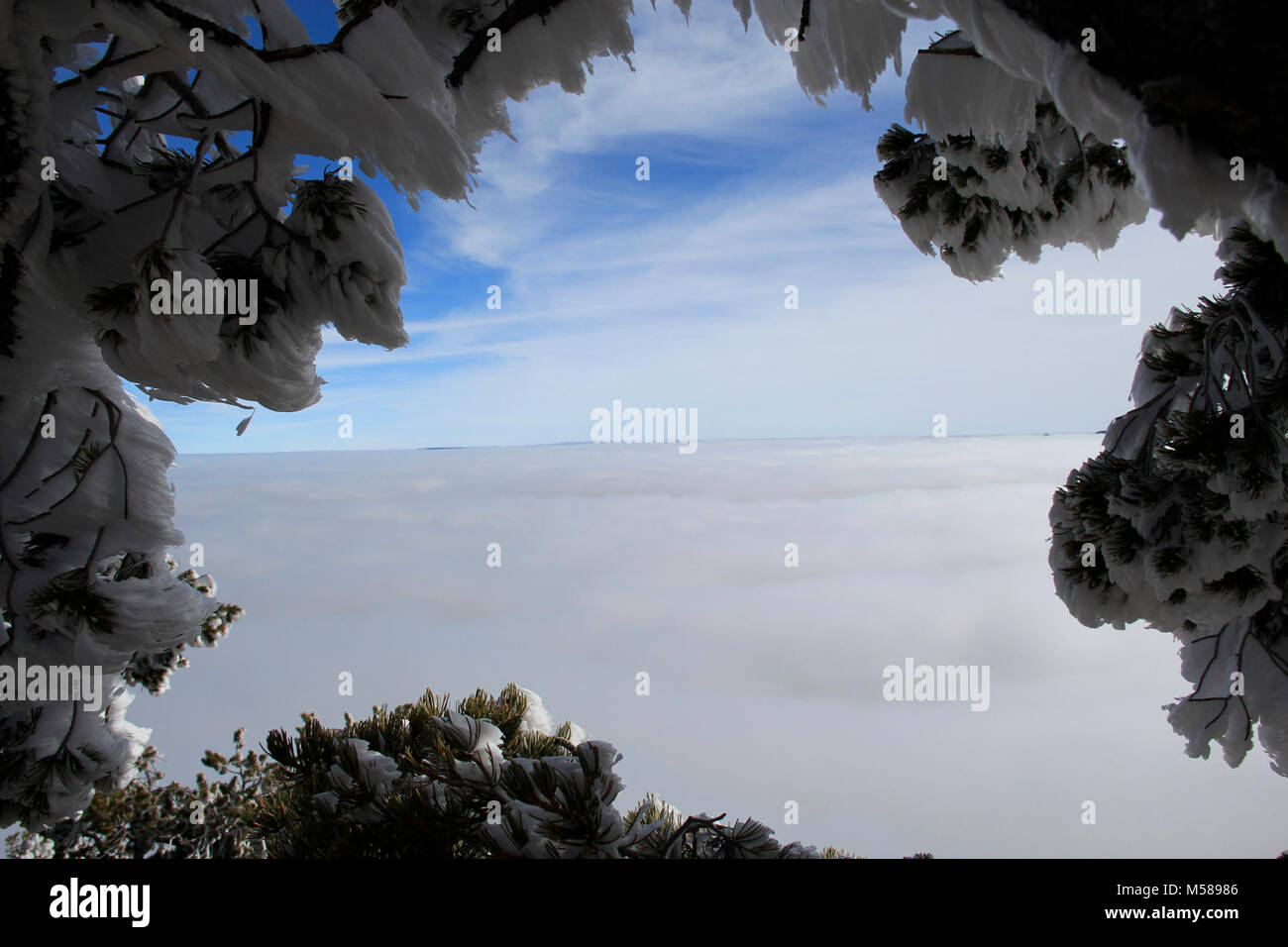 Grand Canyon Inversion Desert View Drive V. A rare total inversion was ...