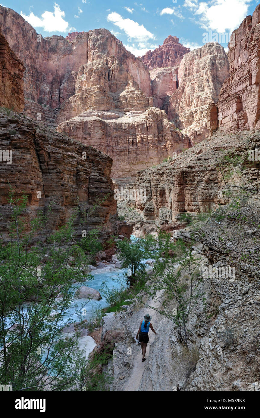 Grand Canyon Mouth of Havasu Creek . The confluence of Havasu Creek ...