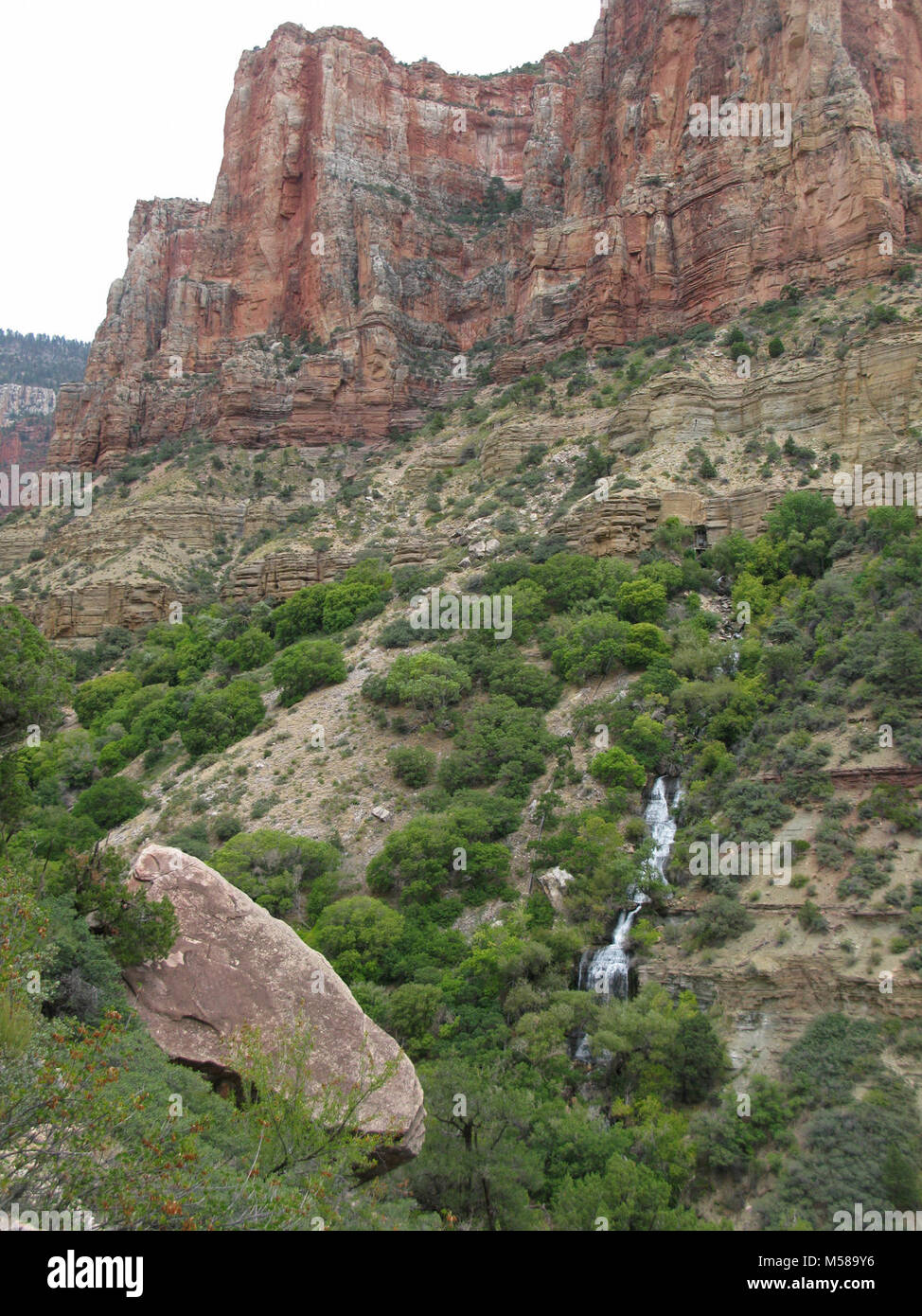 Grand Canyon Nat Park N Kaibab Trail Roaring Springs. Where the ...
