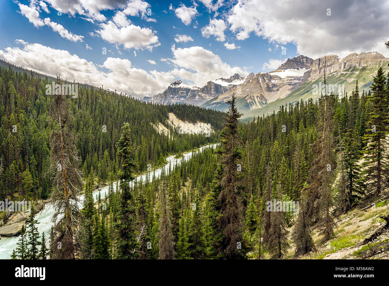 Mount fryatt and the athabasca river hi-res stock photography and ...