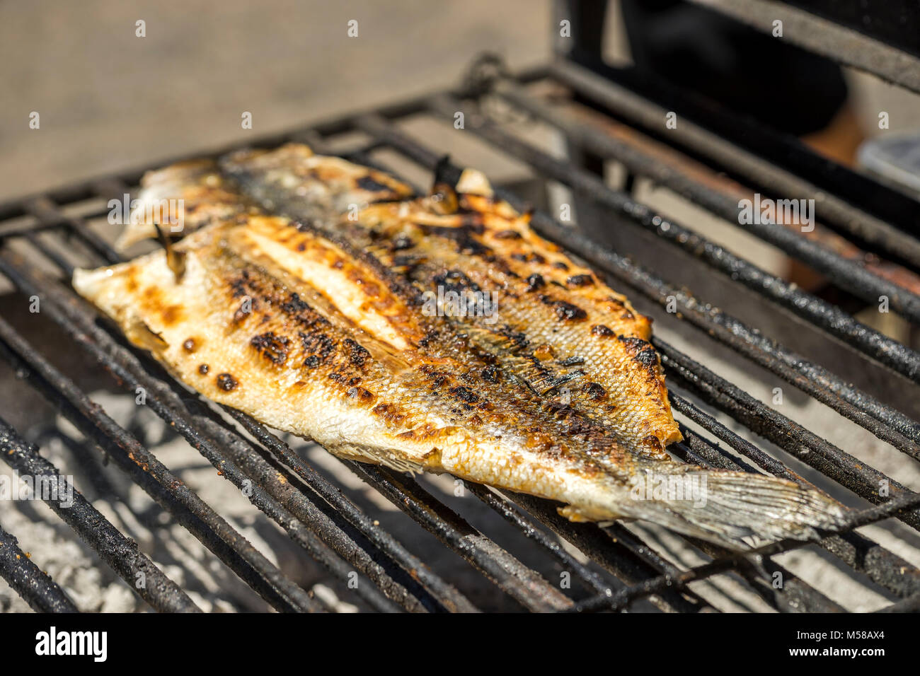 Robalo hi-res stock photography and images - Alamy