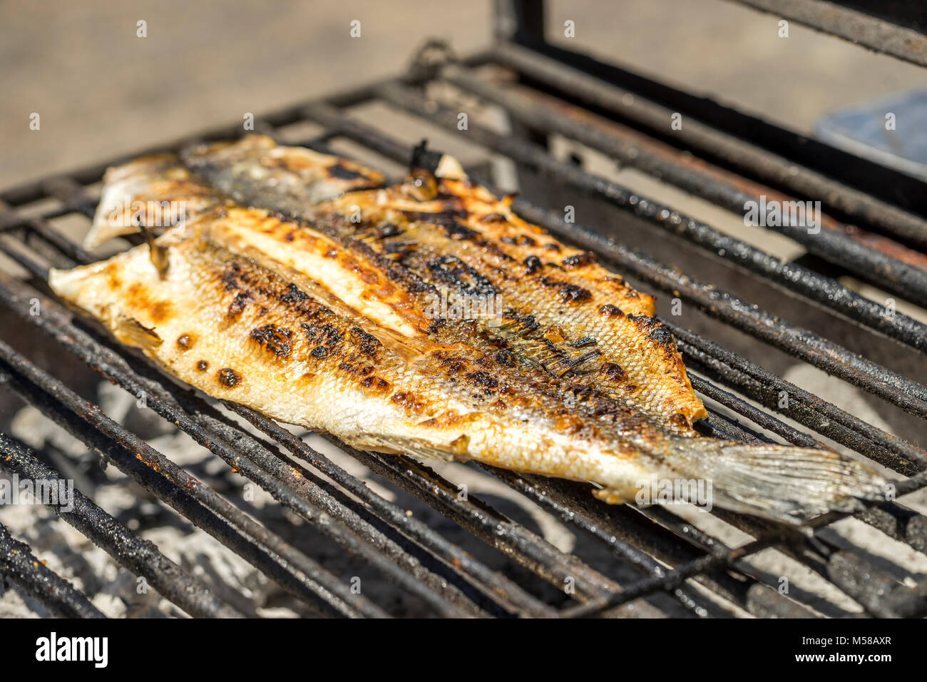 Robalo hi-res stock photography and images - Alamy