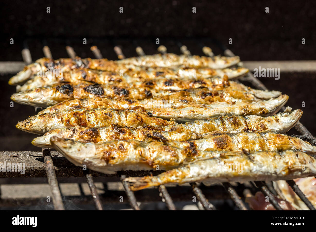 Delicious barbecued sardines - traditional Portuguese food, Porto ...