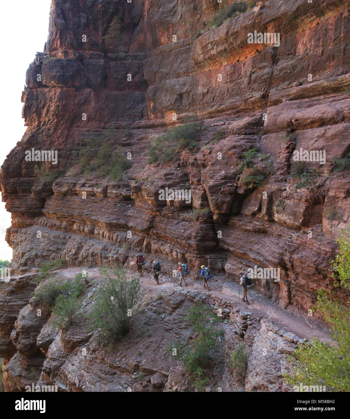 Grand Canyon National Park North Kaibab Trail in Redwall . Below Supai ...