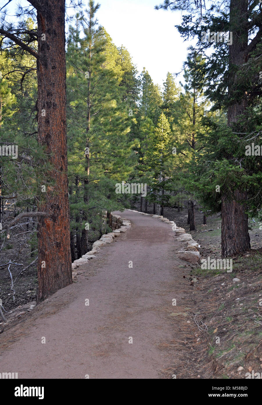 Grand Canyon National Park North Rim Bridle Path . The North Rim Bridle ...