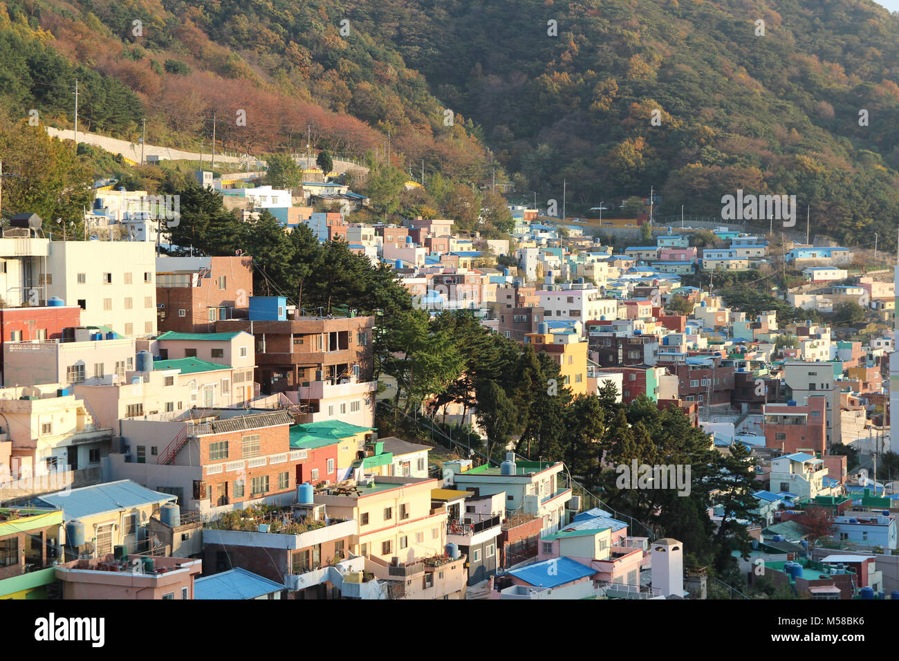 Gamcheon Culture Village which is houses built in staircase-fashion on ...