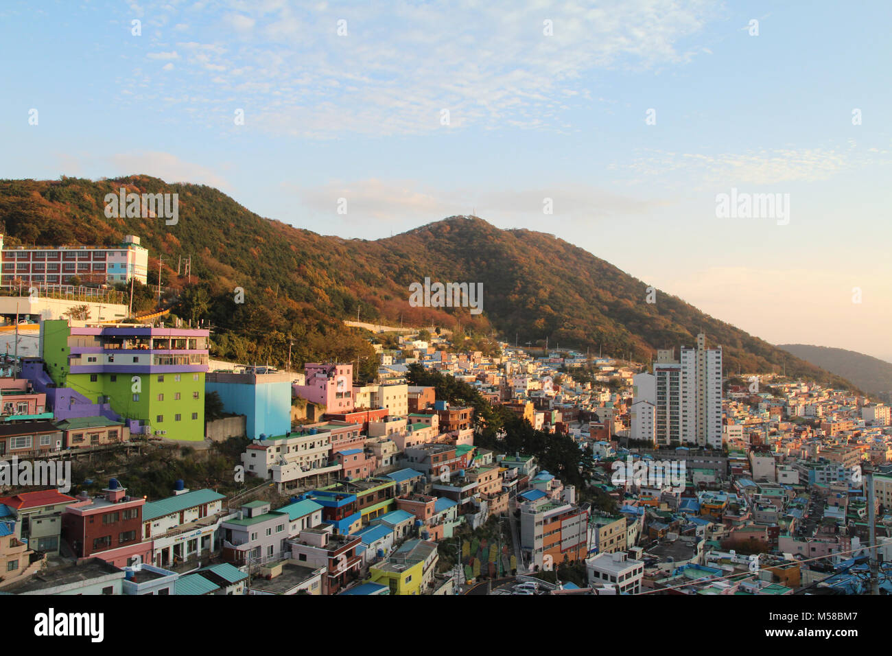Gamcheon Culture Village which is houses built in staircase-fashion on ...