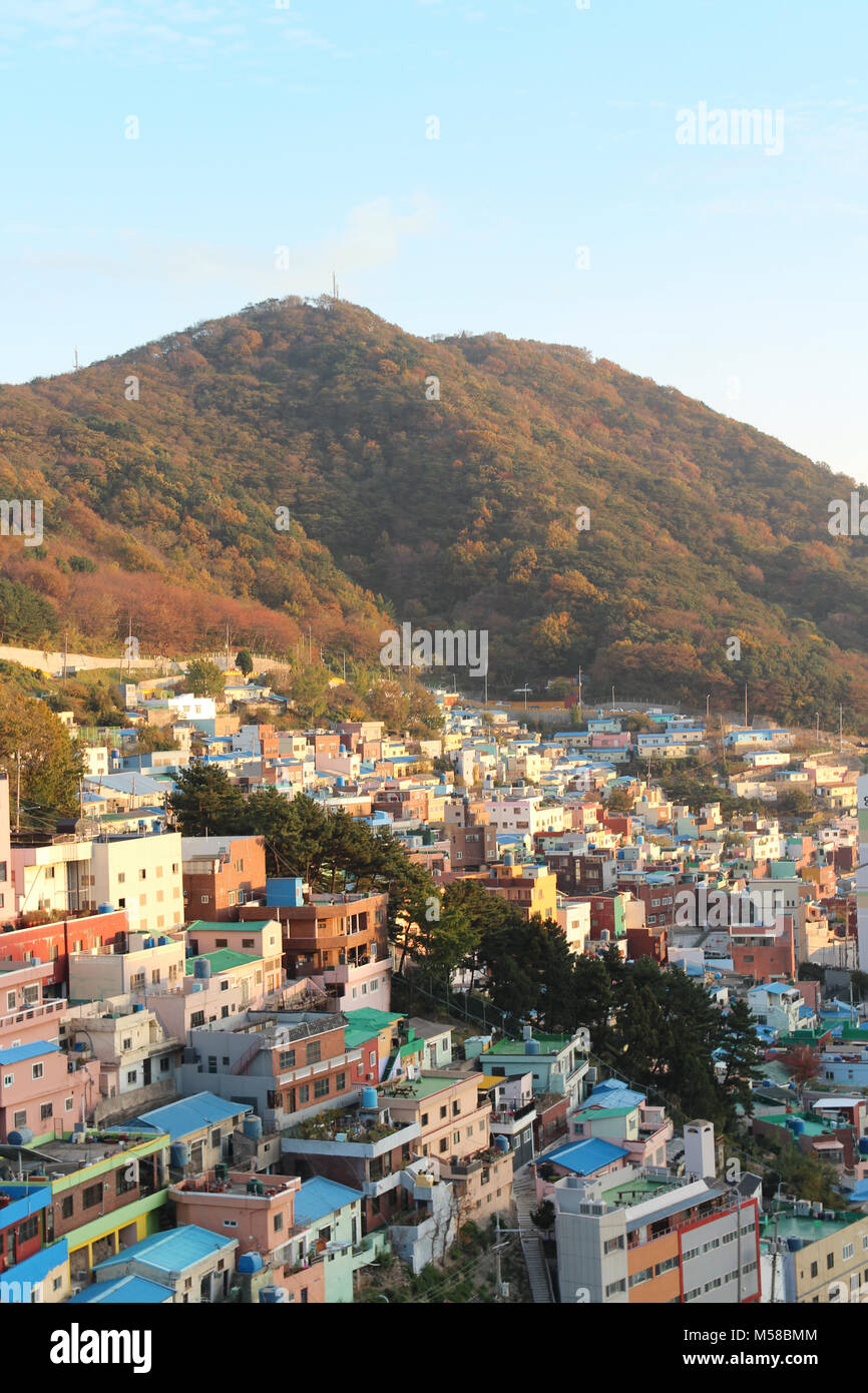 Gamcheon Culture Village which is houses built in staircase-fashion on ...
