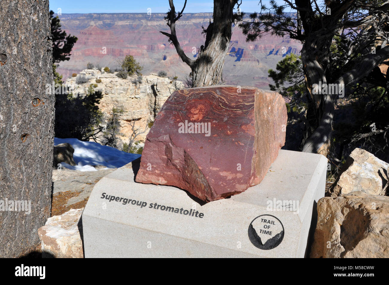 Grand Canyon Trail of Time Supergroup stromatolite . The Trail of Time ...