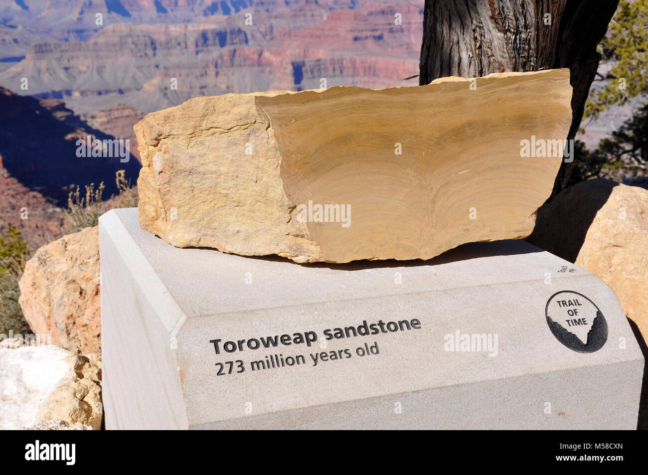 Grand Canyon Trail of Time Toroweap sandstone . The Trail of Time is an ...