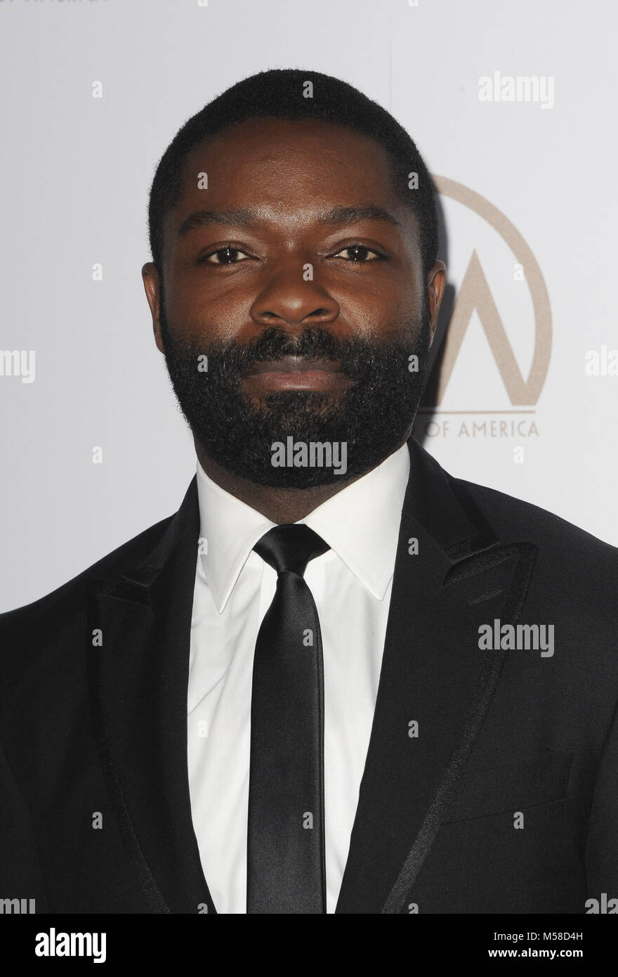 The 2018 PGA Awards Featuring: David Oyelowo Where: Los Angeles ...
