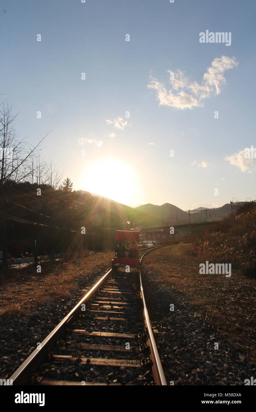 Sunset Rail bike with the pampas grass surrounding in autumn at ...