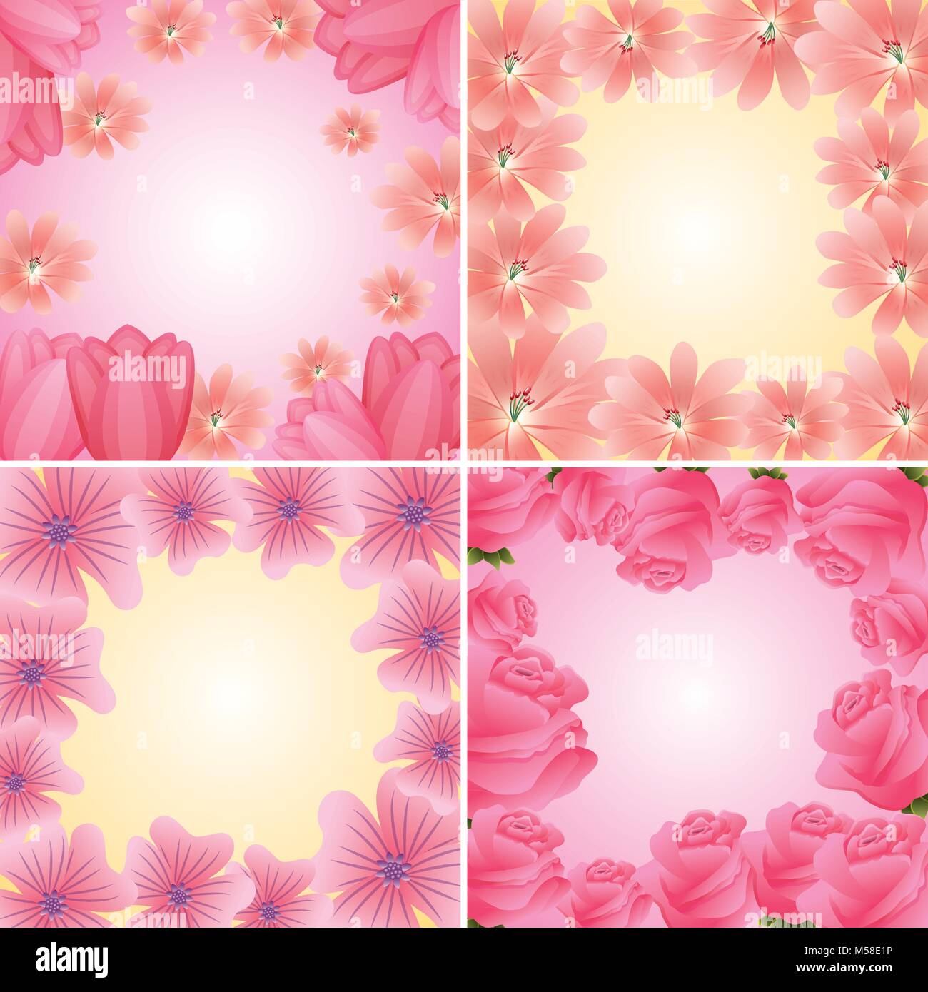 collection frames floral delicate flowers decoration Stock Vector Image ...