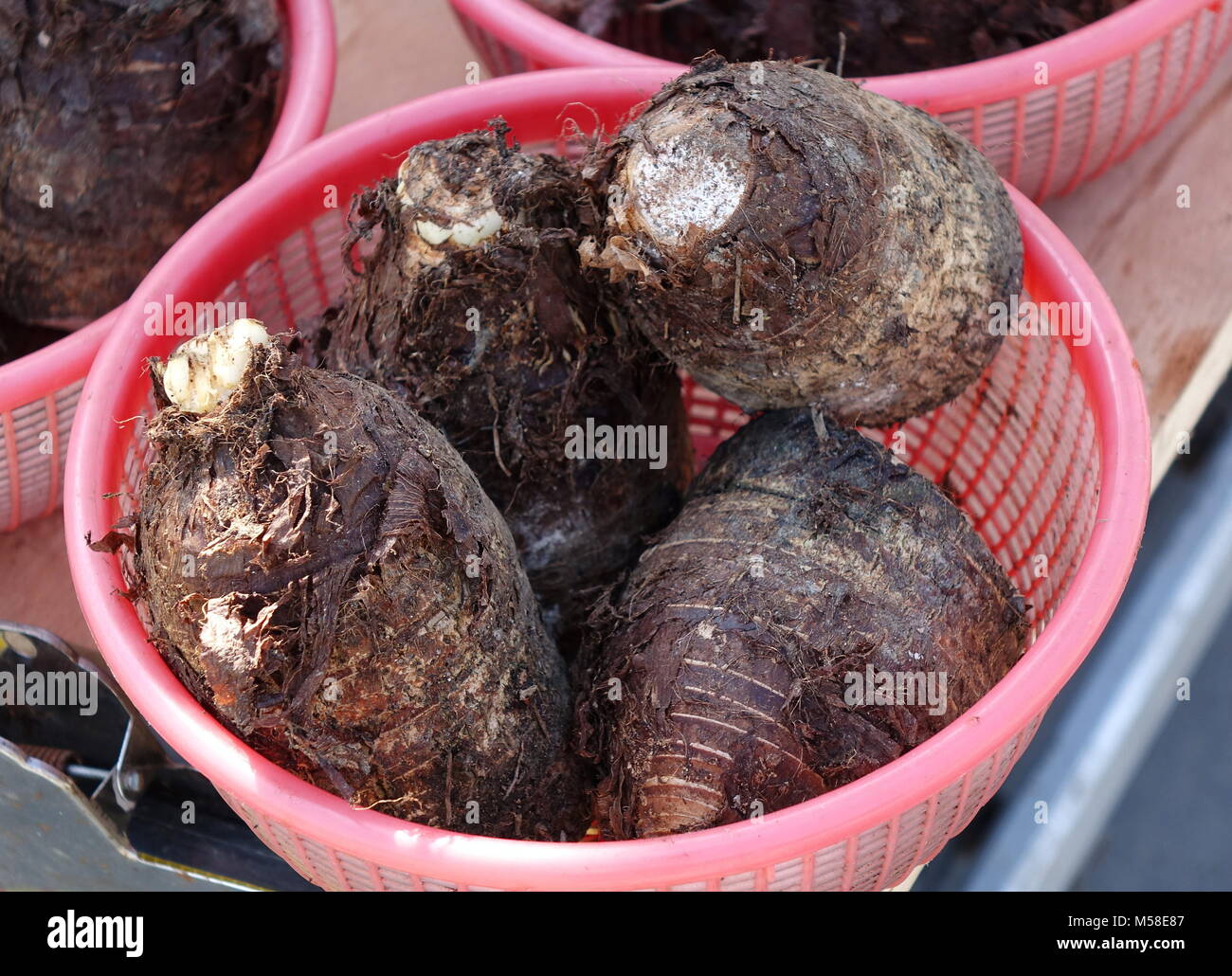 A market vendor sells large taro roots, a popular vegetable in Taiwan ...