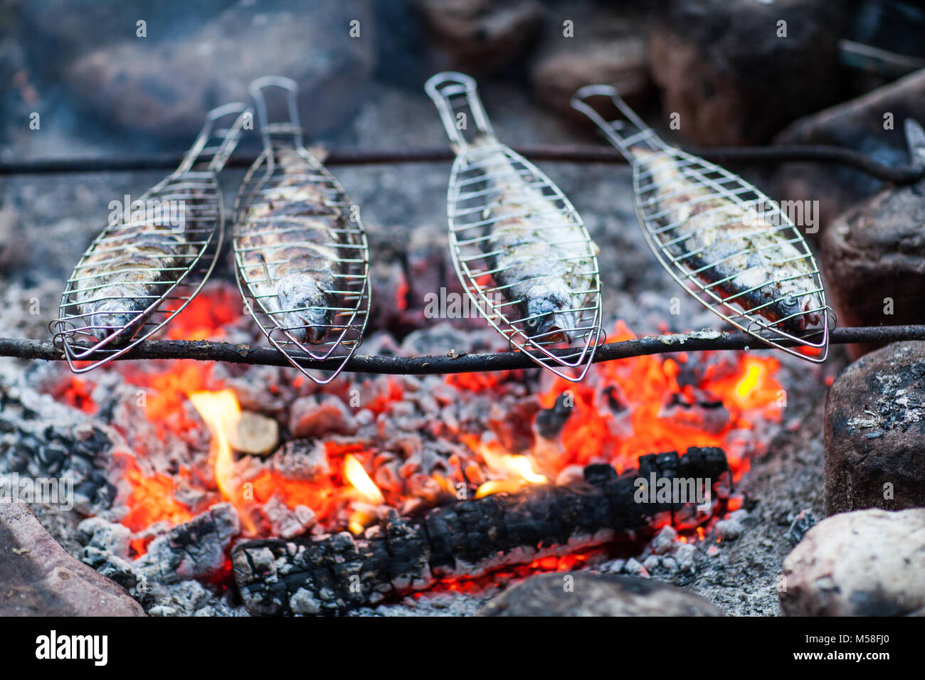 Grilling fish on campfire Stock Photo - Alamy