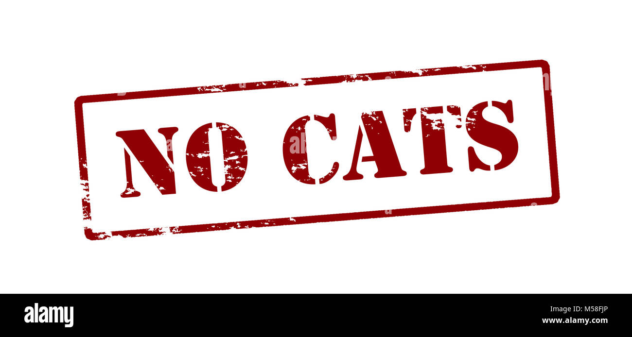 Rubber stamp with text no cats inside, vector illustration Stock Photo ...