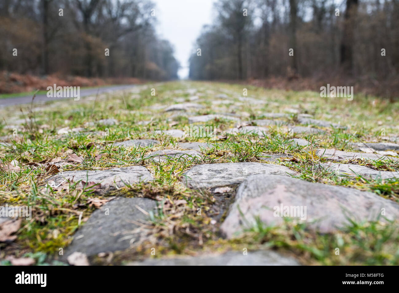 Arenberg hi-res stock photography and images - Alamy