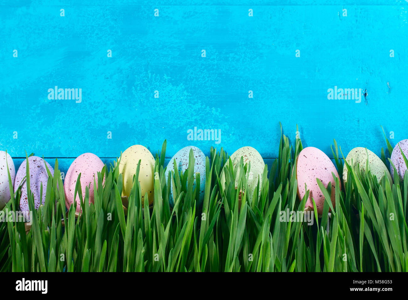 Row of Easter eggs in fresh grass on bright blue background with copy ...