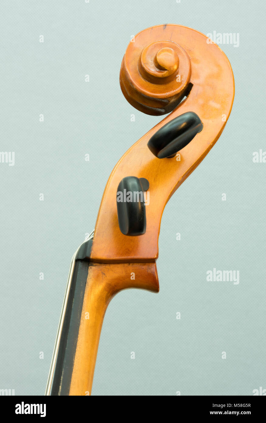 Cutaway Cello Scroll