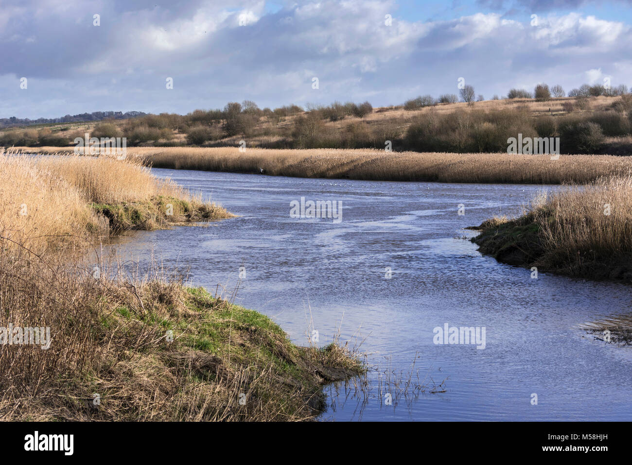 Sankey brook hi-res stock photography and images - Alamy